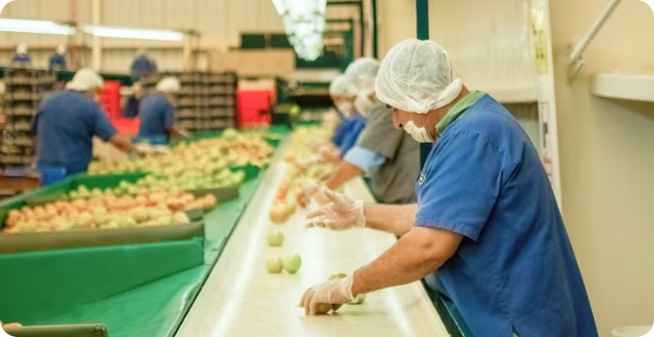 About us – WM FOOD